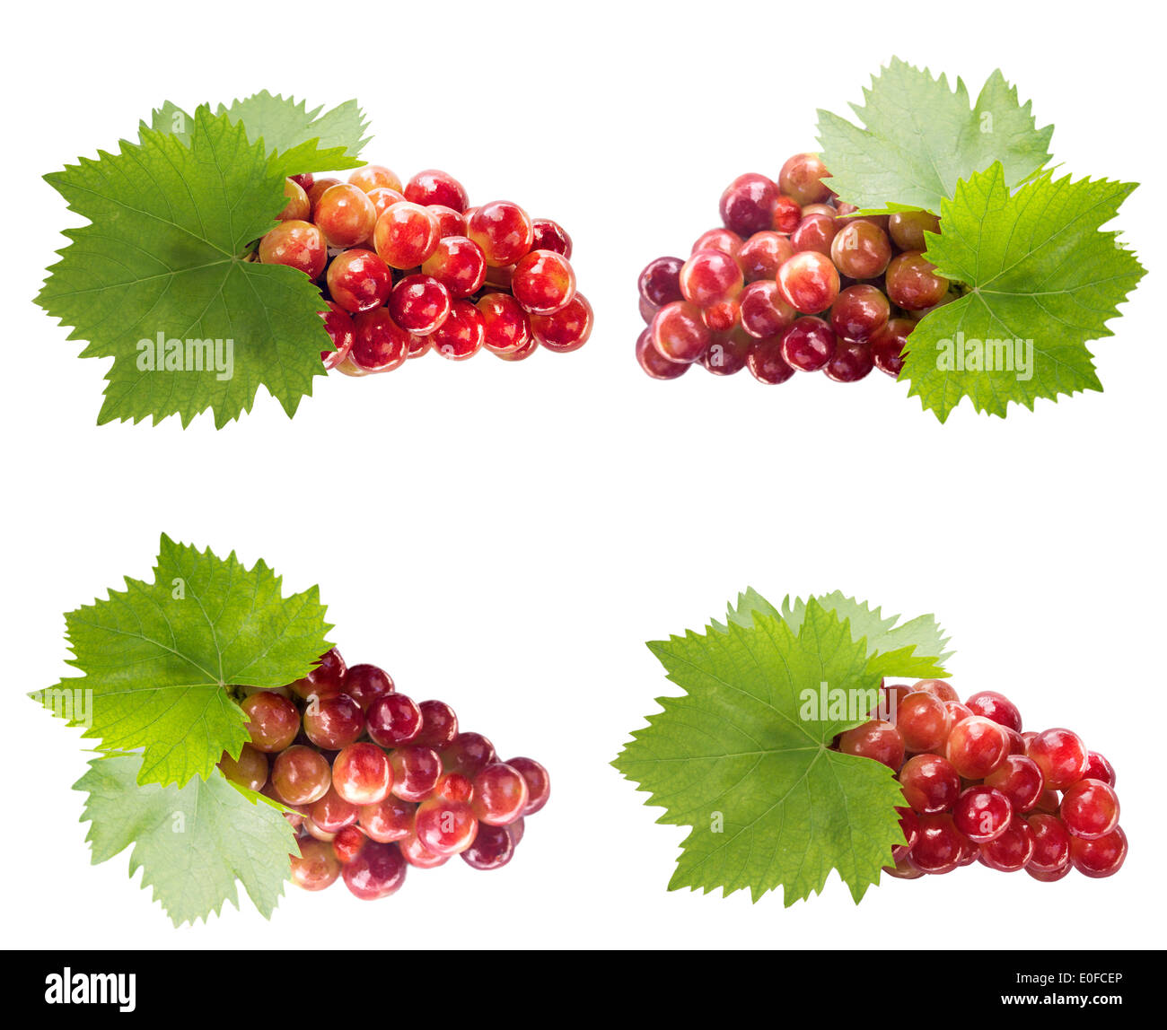 Healthy and organic food, Set of fresh red Grapes Stock Photo - Alamy