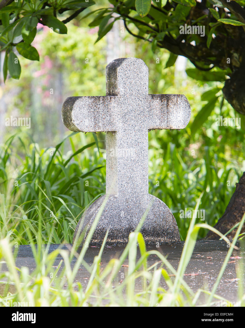 Cross on tombstone under a green tree Stock Photo - Alamy