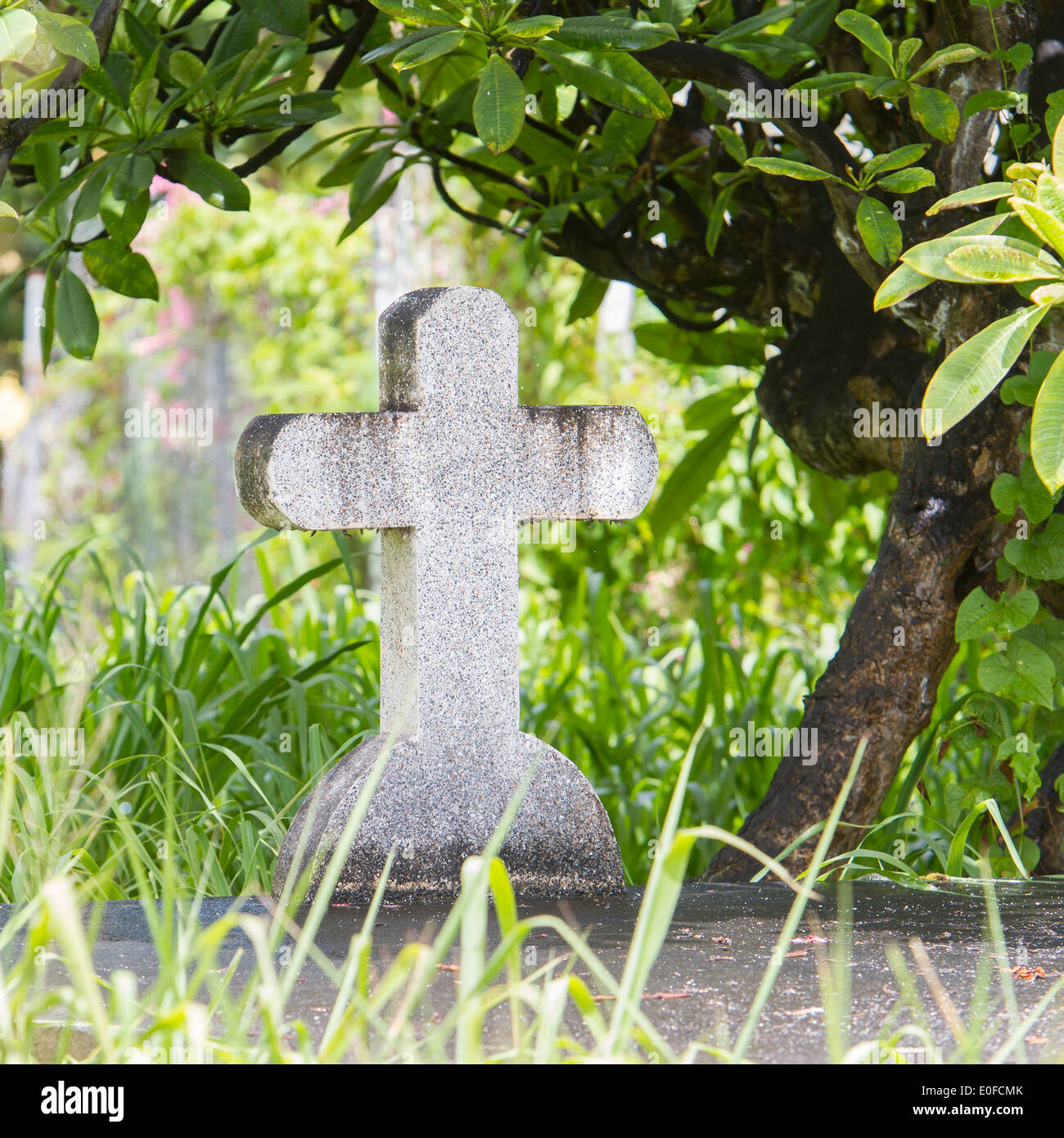 Cross on tombstone under a green tree Stock Photo - Alamy