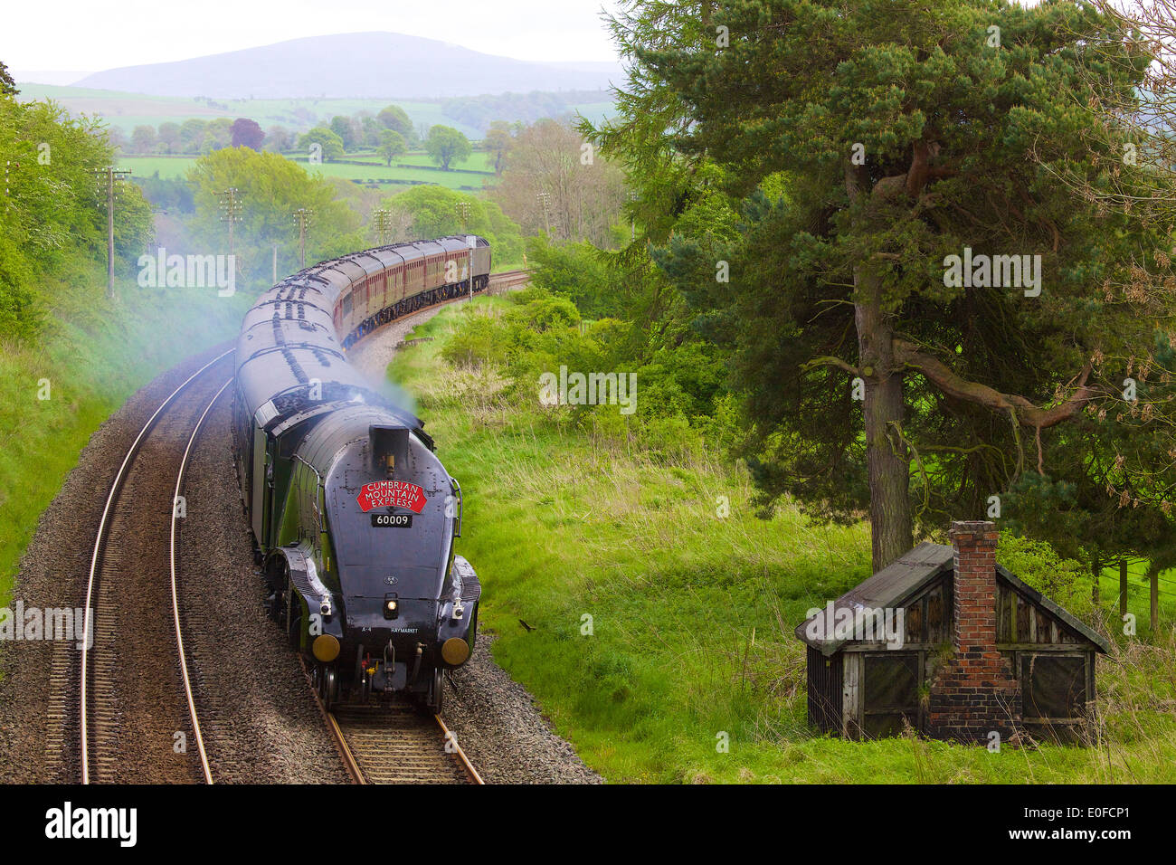 Steam train Union of South Africa passing workman's hut at Duncowfold ...