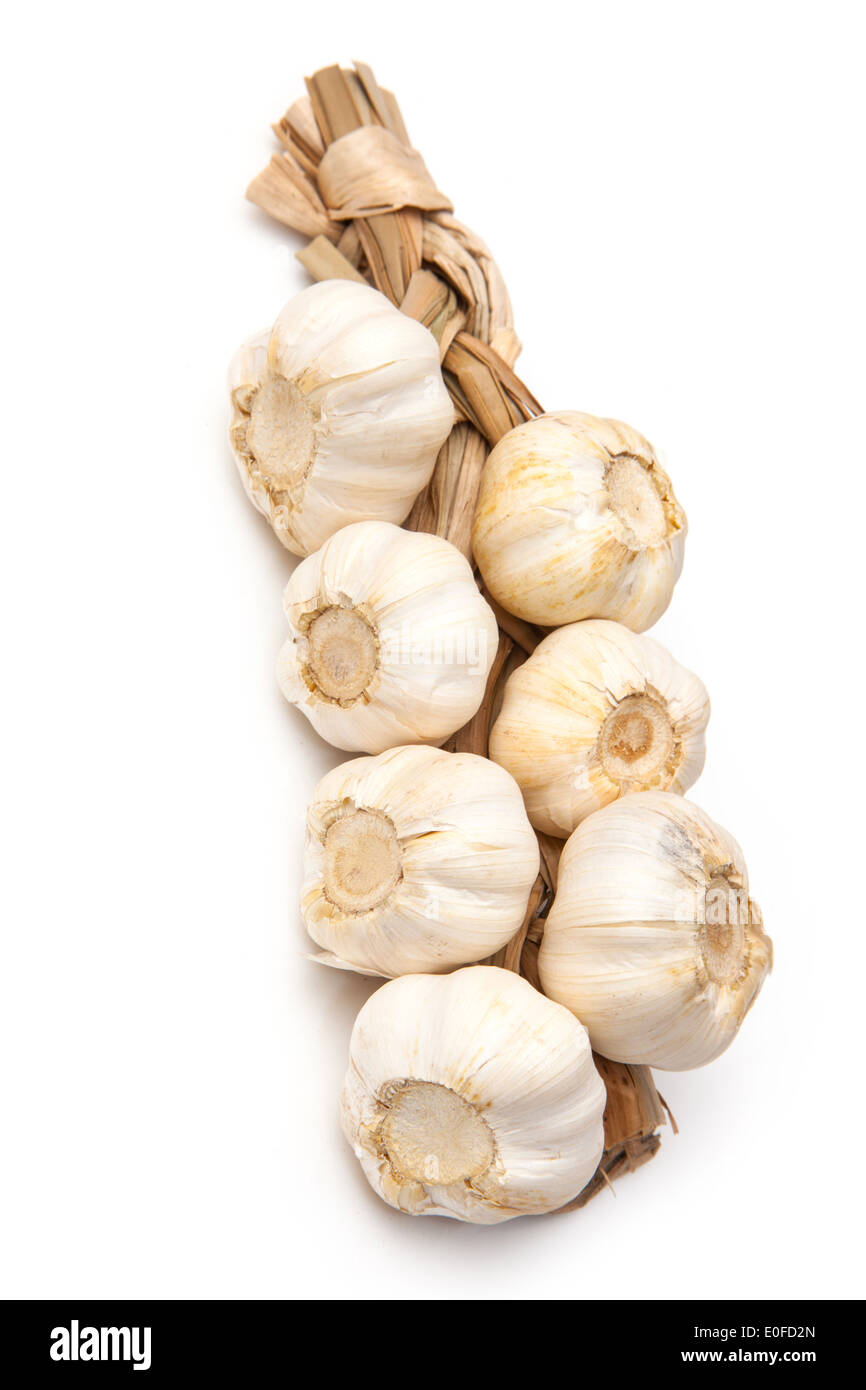 String of Garlic bulbs isolated on a white studio background Stock ...