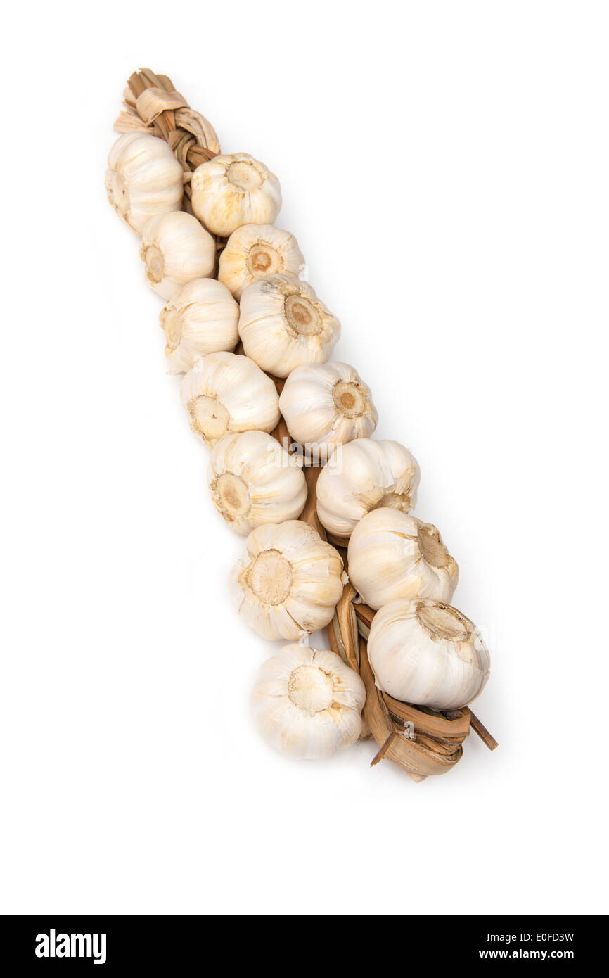 String of Garlic bulbs isolated on a white studio background Stock ...