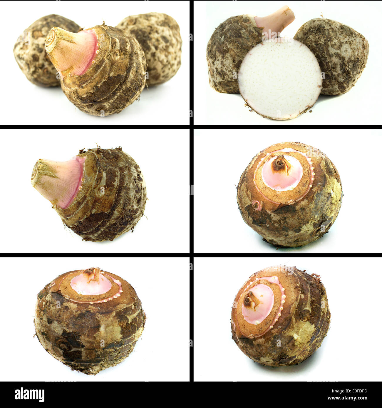 Healthy and organic food, Set of fresh taro root or colocasia Stock ...