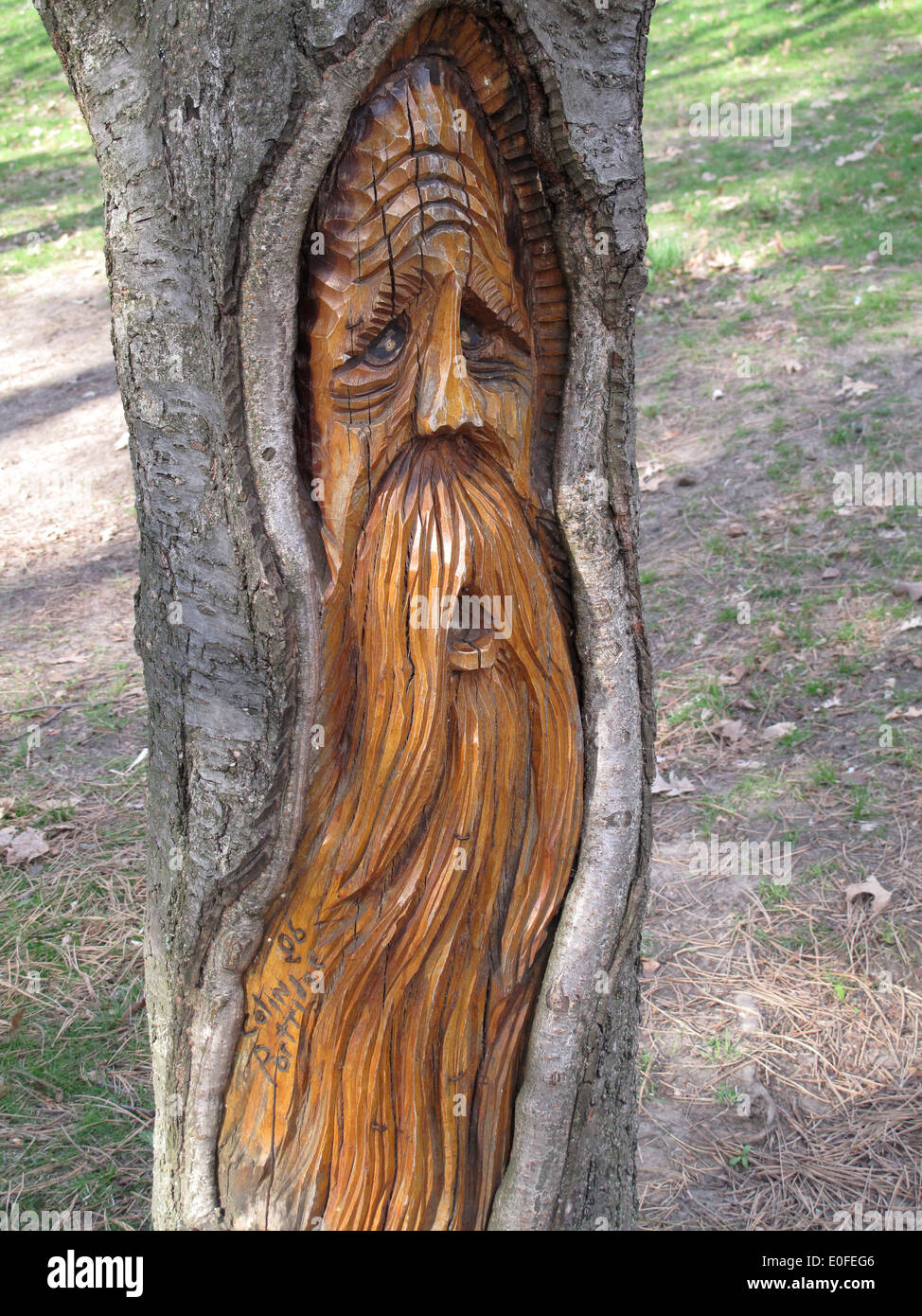 Tree carving hi-res stock photography and images - Alamy