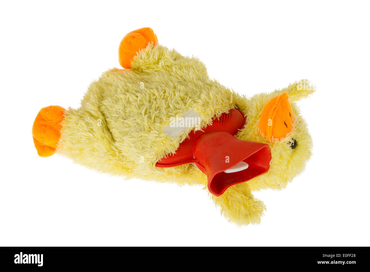 Yellow bog Cut Out Stock Images & Pictures - Alamy