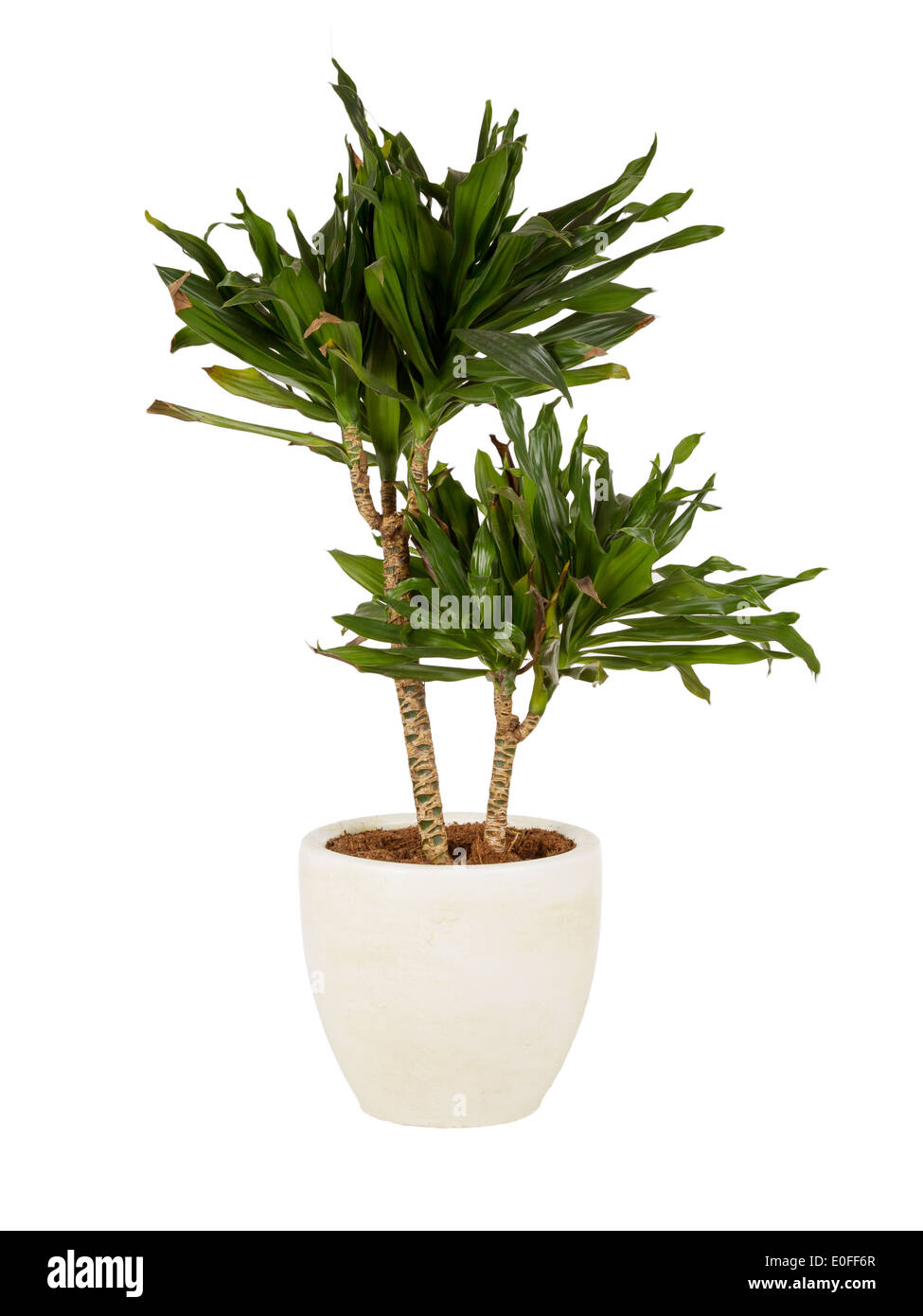 Large white house in Cut Out Stock Images & Pictures - Alamy