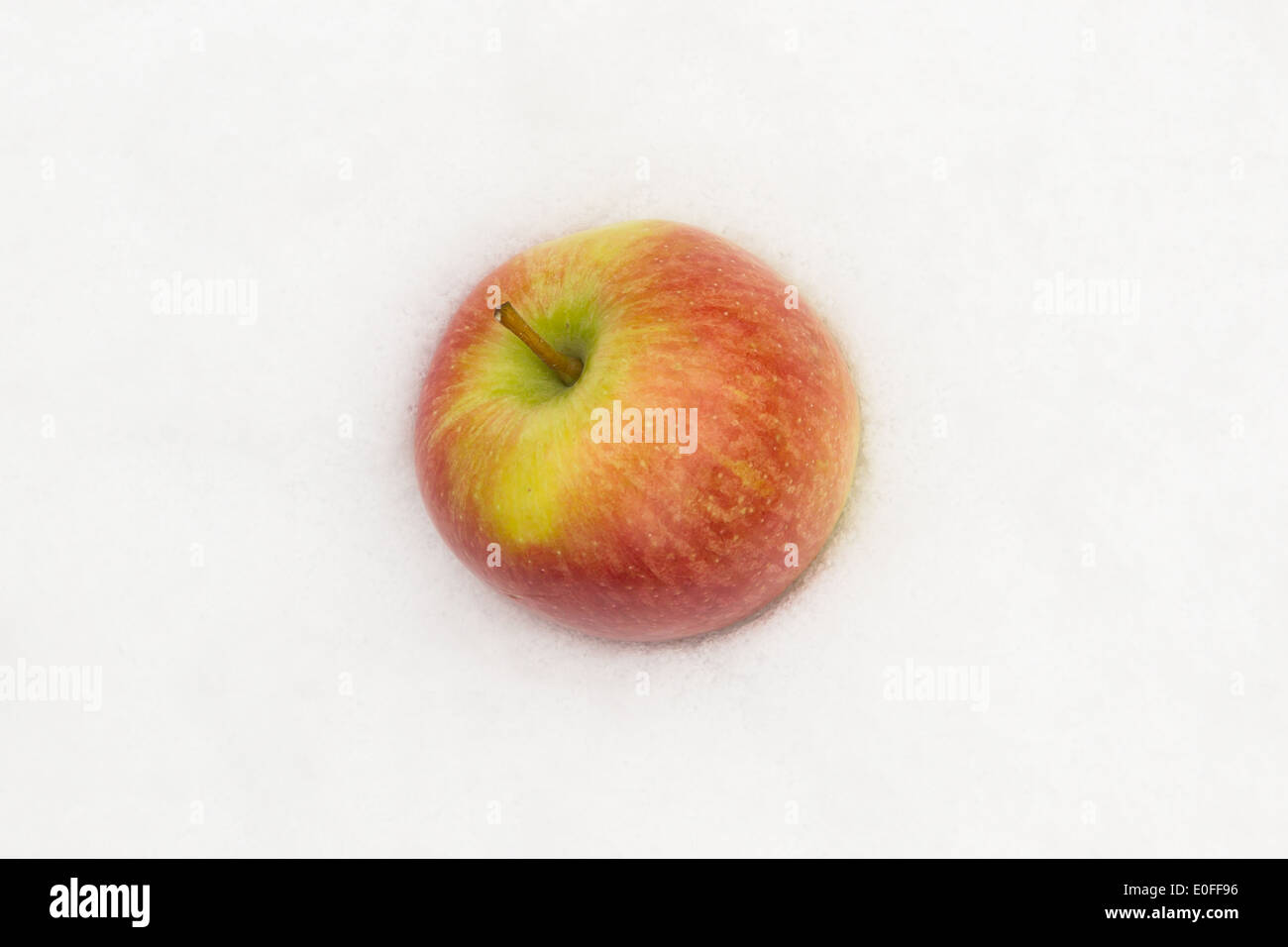 Apple orchard snow hi-res stock photography and images - Alamy