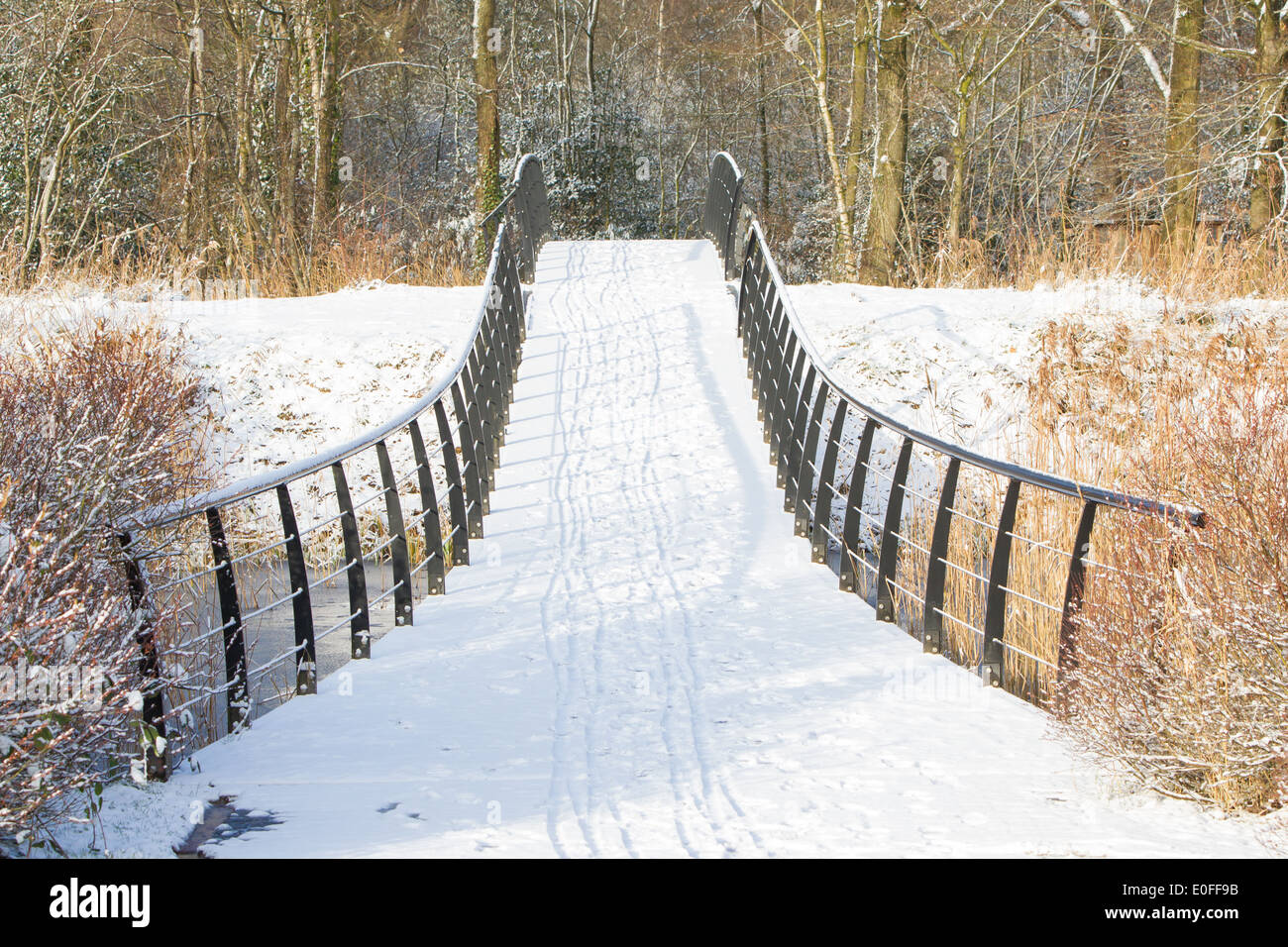 Covered bridge in the woods hi-res stock photography and images - Alamy