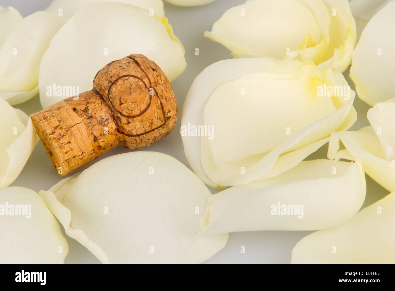 Cork from champagne isolated with rose leaves Stock Photo - Alamy
