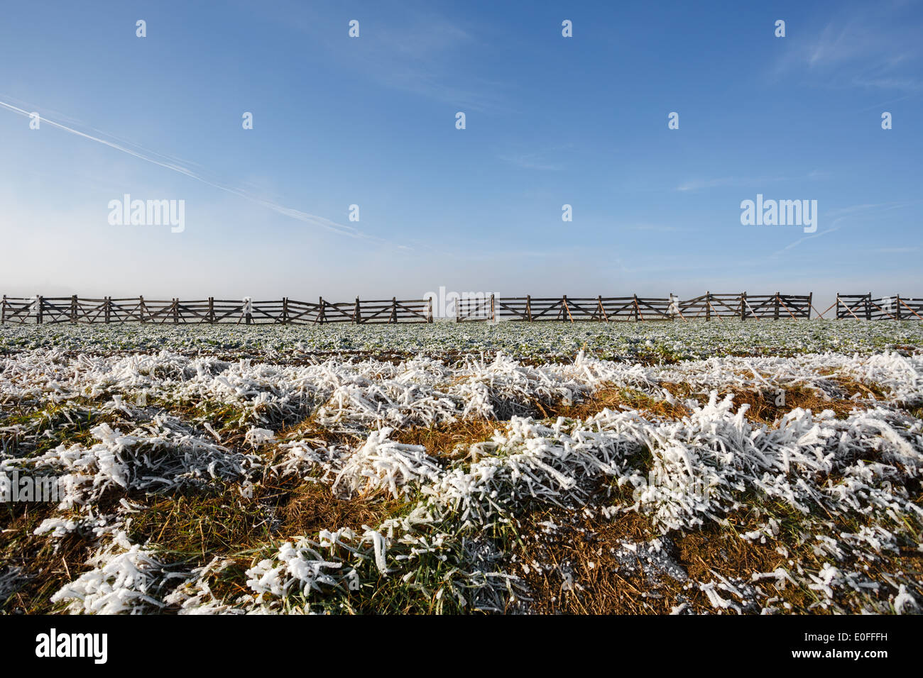 winter background with frost grass and snowdrift barrier against blue ...