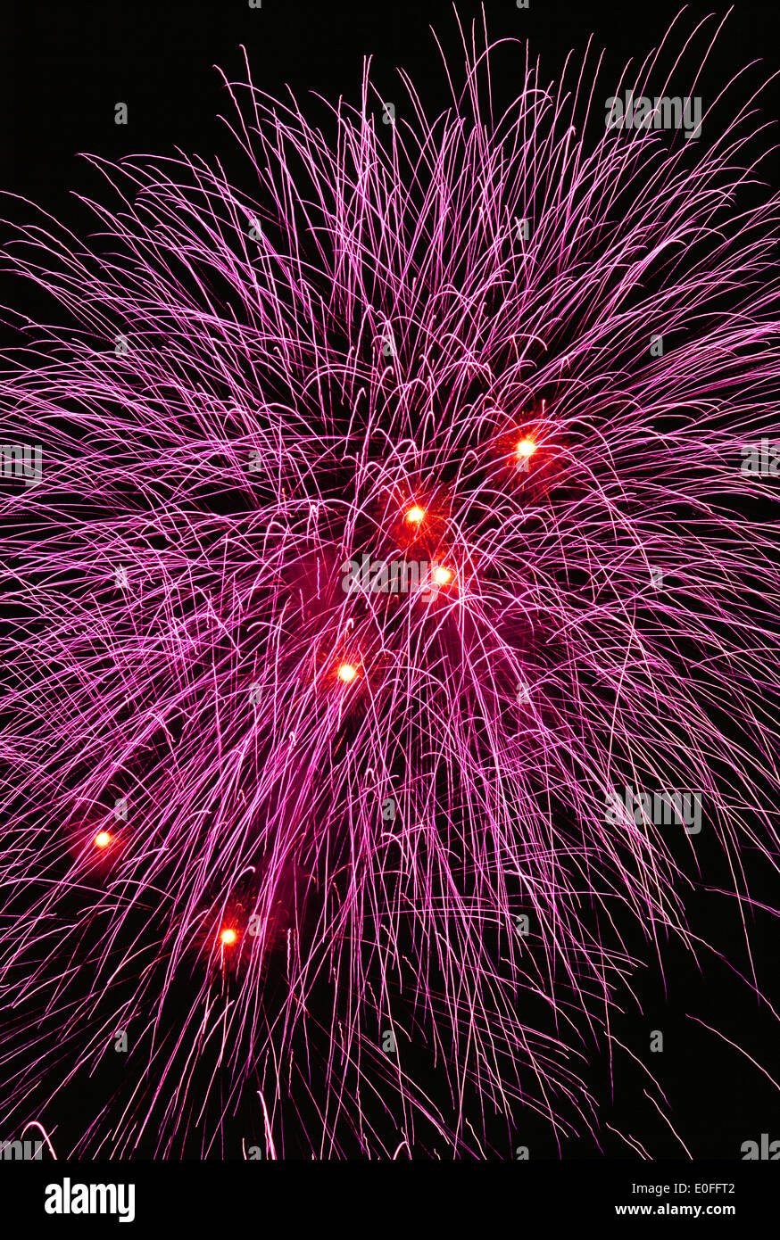 irework fireworks pyrotechnic explosive colorful event celecration show ...