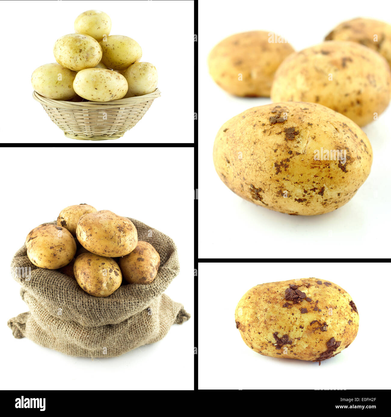 Healthy and organic food, Set of fresh potatoes Stock Photo - Alamy