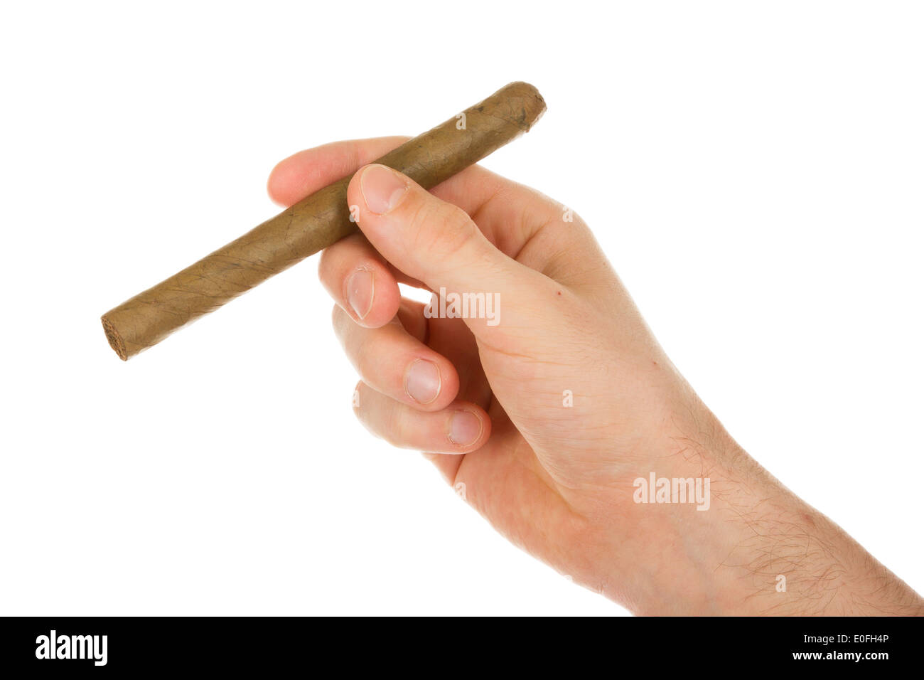 Cigar in hand, isolated on white background Stock Photo - Alamy