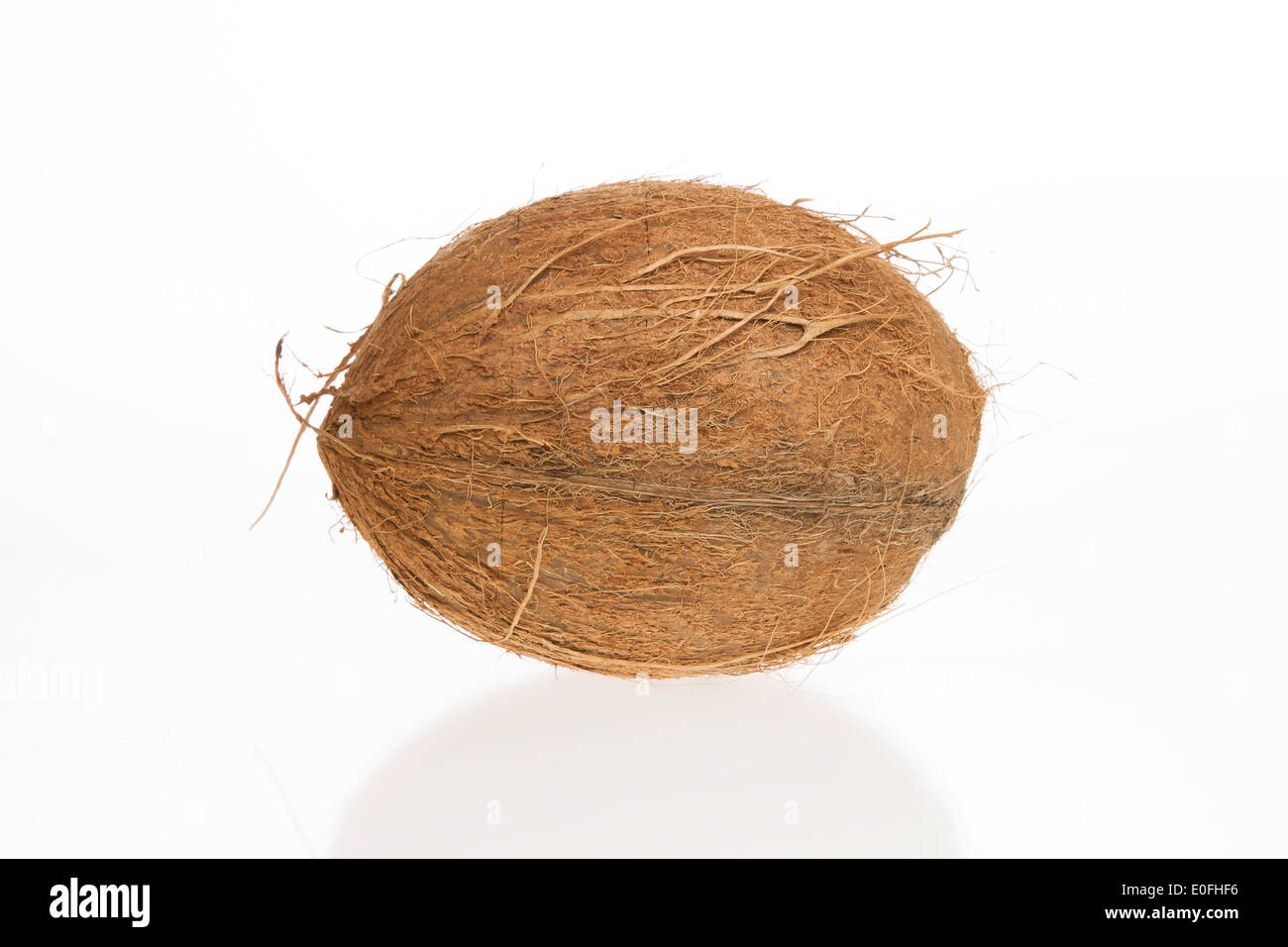 Coconut shade hi-res stock photography and images - Alamy