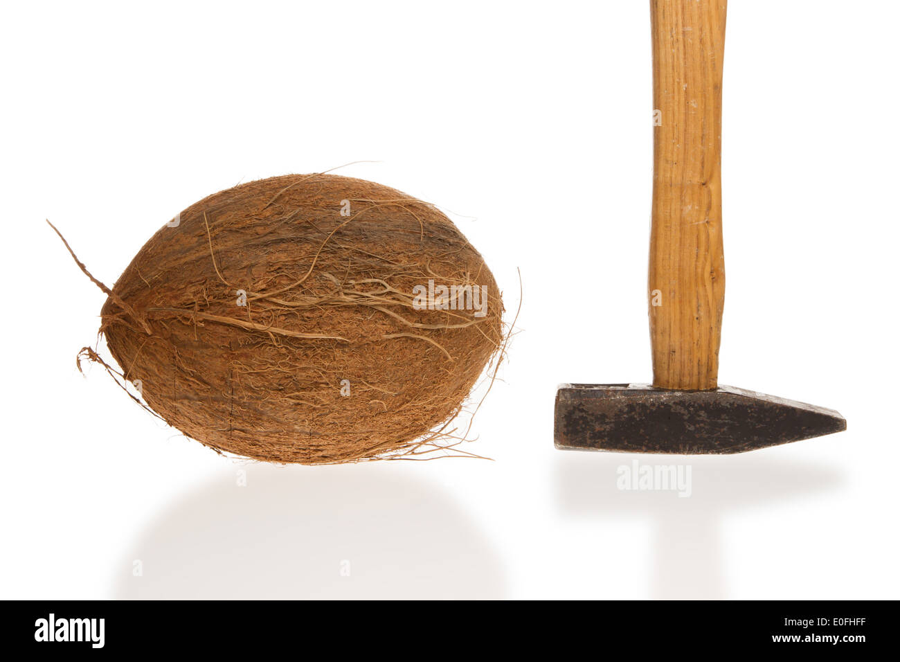 Coconut and a hammer isolated on white Stock Photo - Alamy