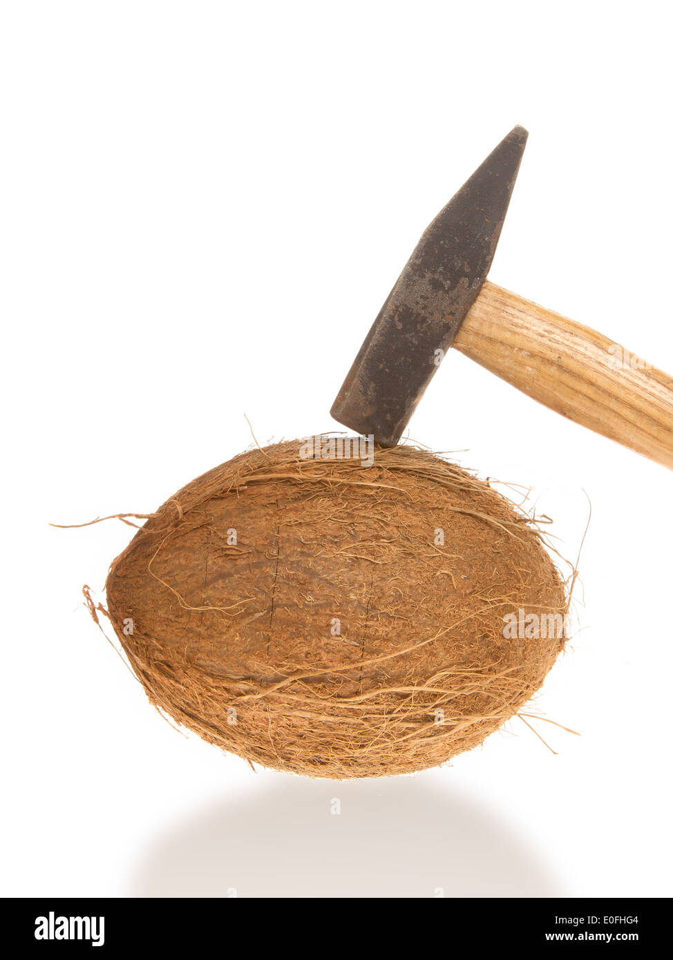 Coconut and a hammer isolated on white Stock Photo - Alamy