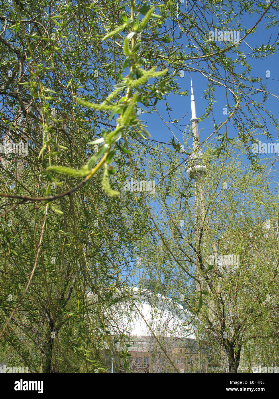 Spring in Toronto, Ontario Stock Photo - Alamy