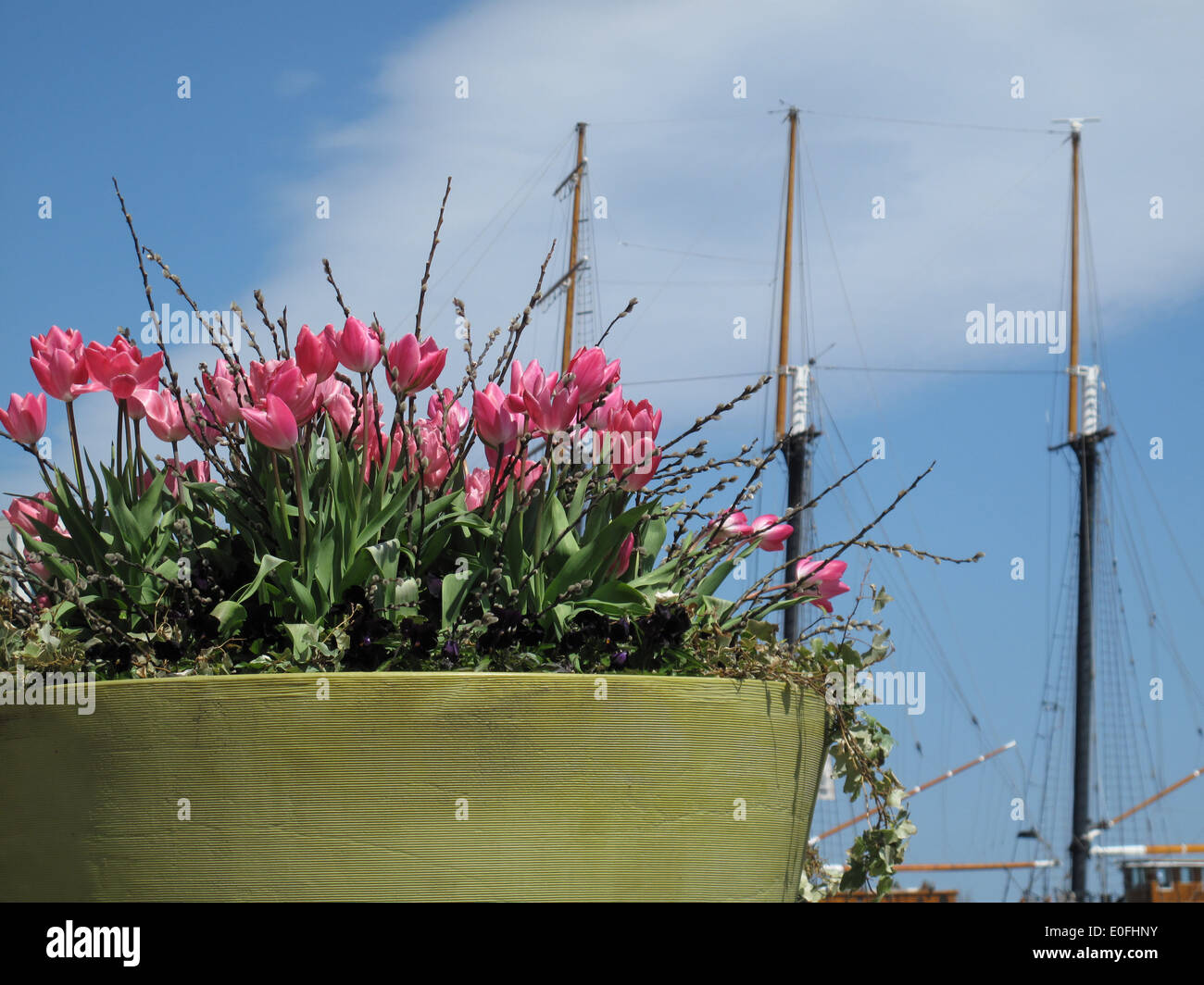 Spring flowers in toronto hi-res stock photography and images - Alamy