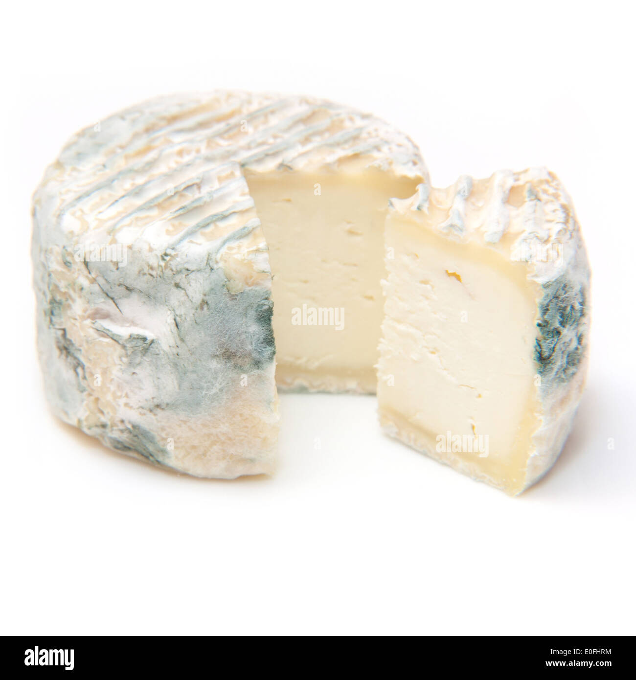 French goats cheese "crottin de chavignol" isolated on a white studio ...