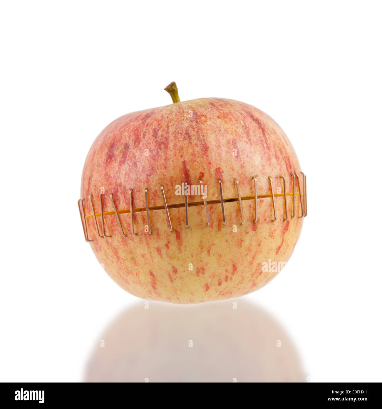 Sliced apple halves joined by brass staples Stock Photo - Alamy