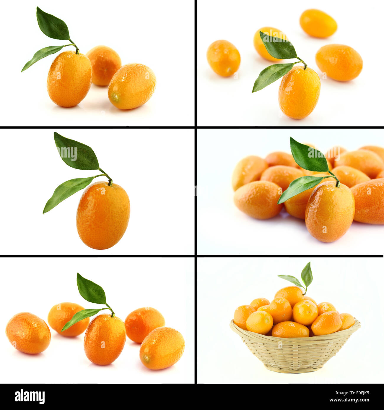 Healthy and organic food, Set of fresh orange Stock Photo - Alamy