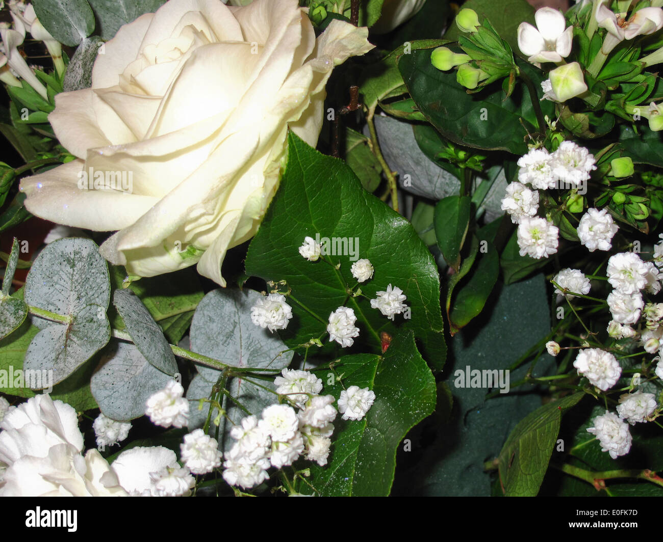 Flower arrangement with white roses Stock Photo - Alamy