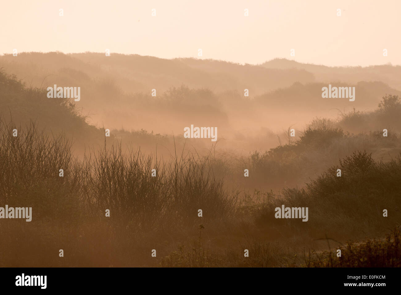 Wea mist geography hi-res stock photography and images - Alamy