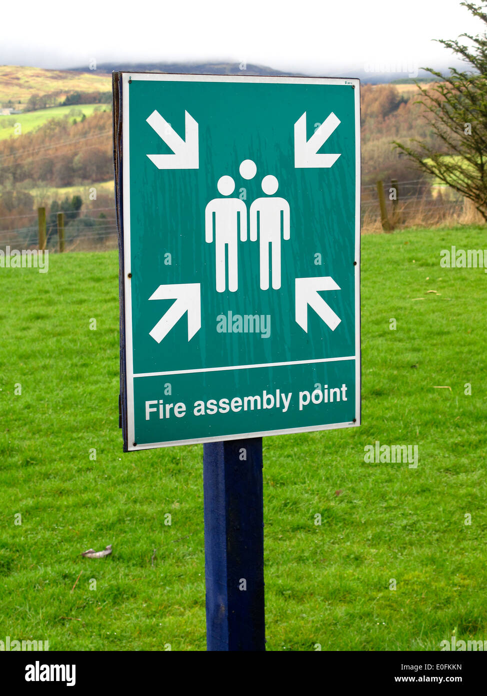 Fire assembly point sign Stock Photo - Alamy