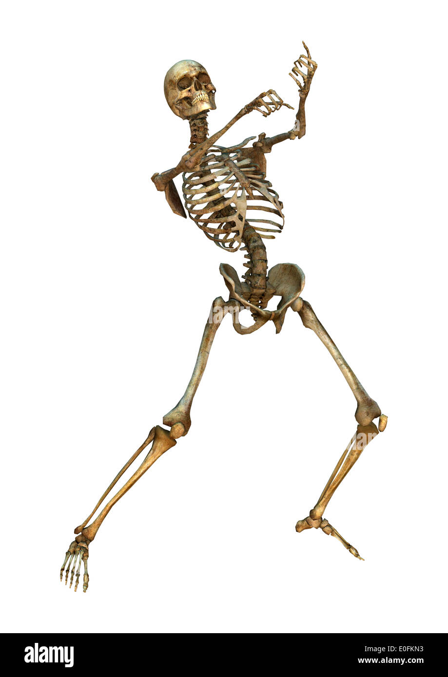 3D digital render of an old human skeleton isolated on white background ...