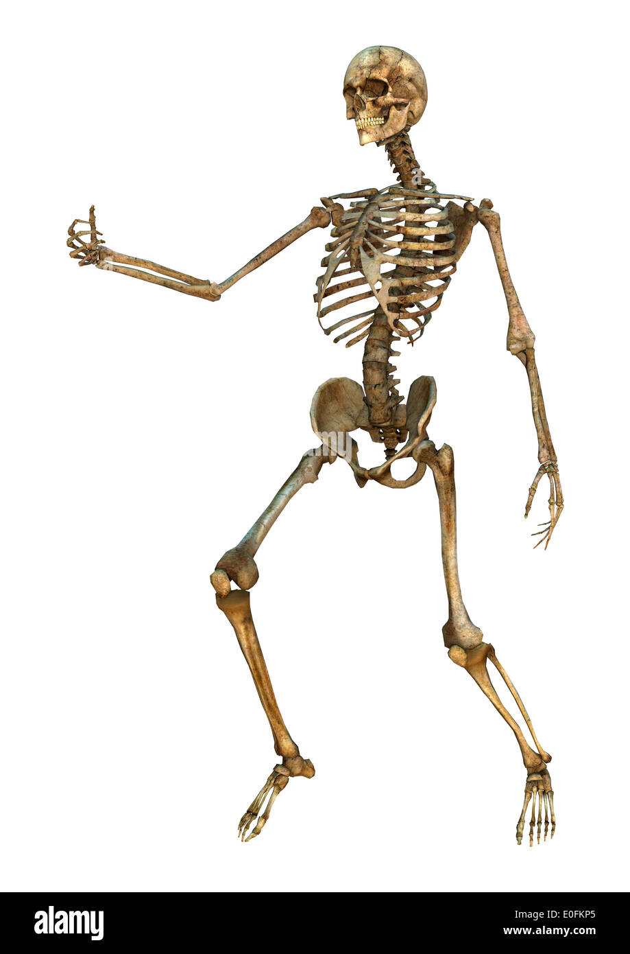 3D digital render of an old human skeleton isolated on white background ...