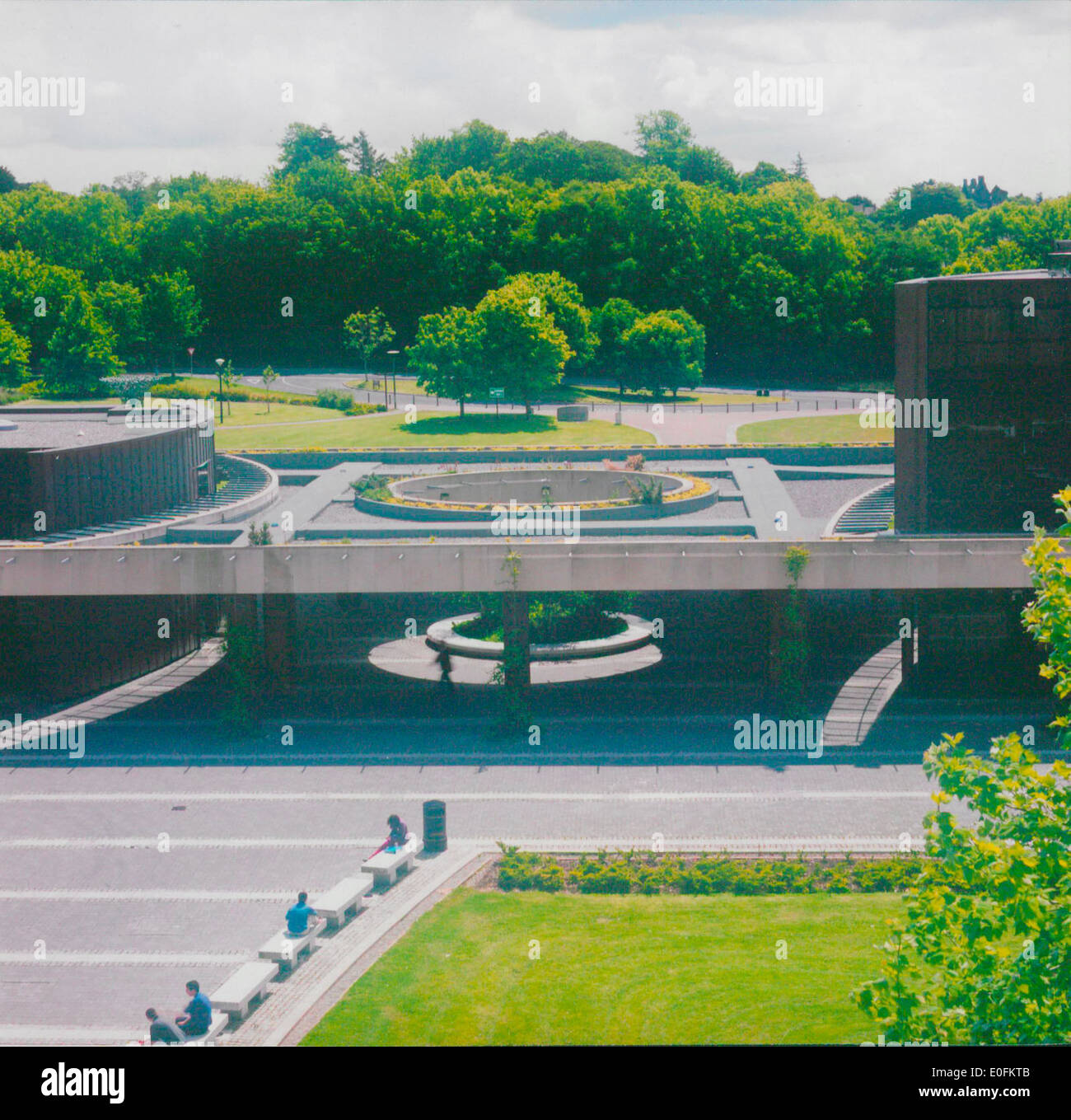 Roof Garden, Glucksman Library Stock Photo - Alamy
