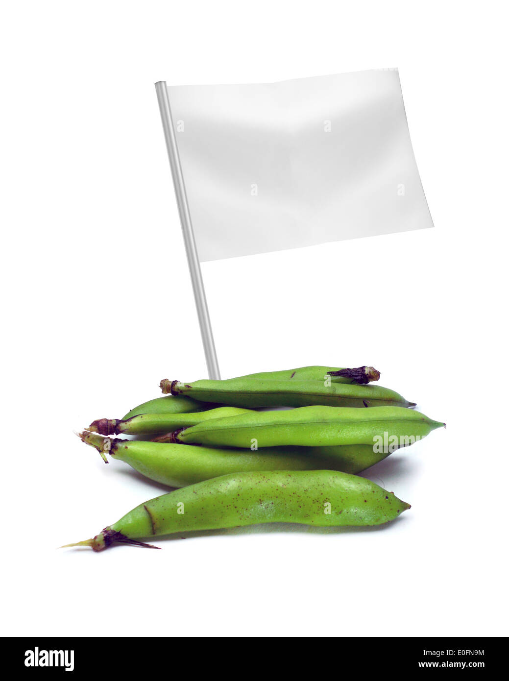 Healthy and organic food concept. Fresh broad bean pods with flag ...