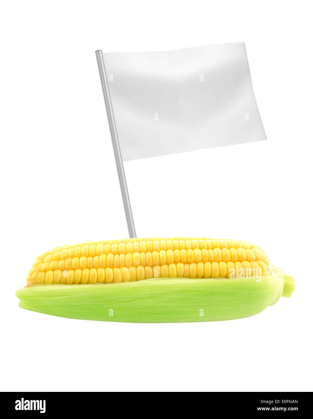 Healthy and organic food concept. Fresh ear of corn with flag showing ...