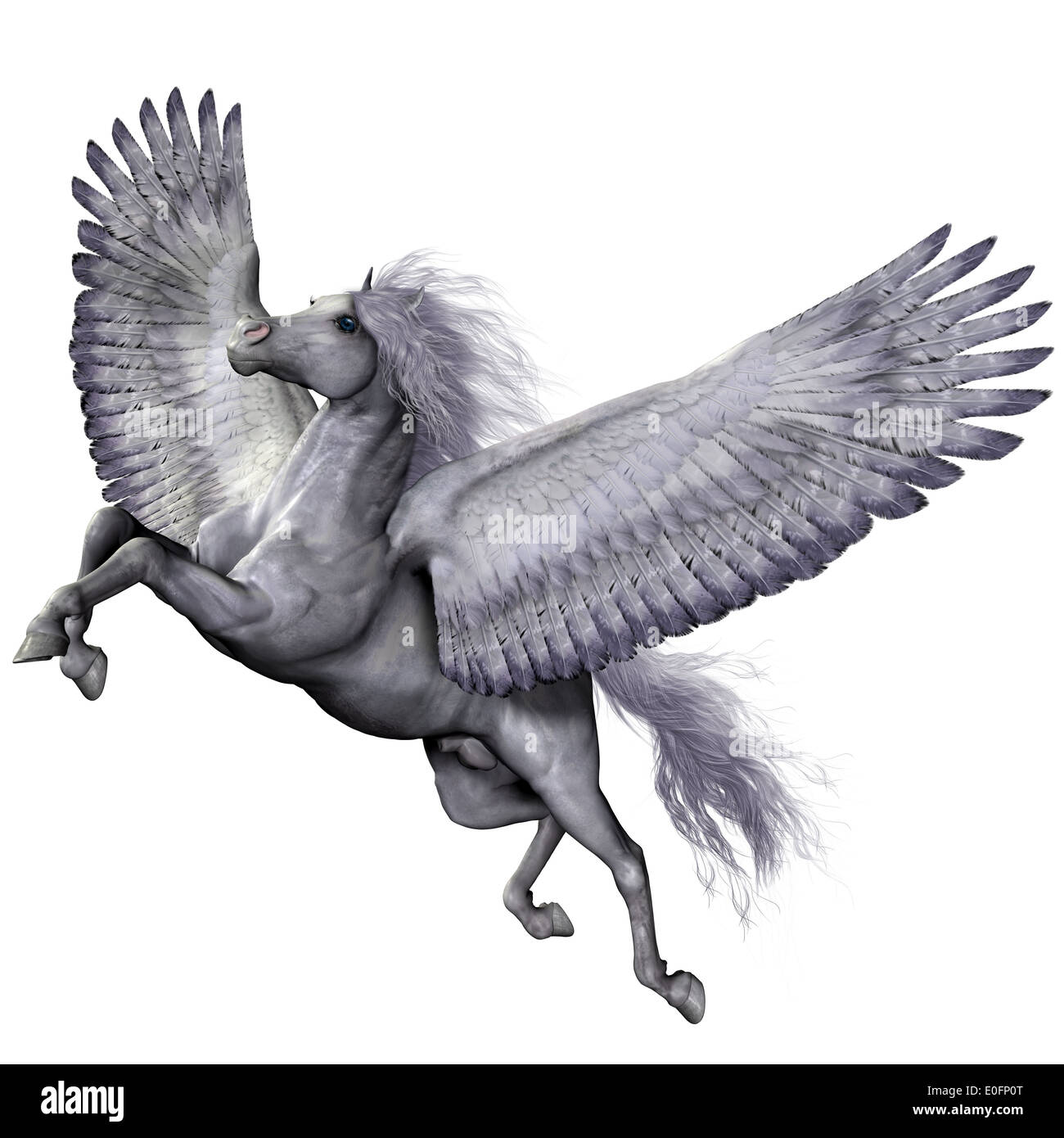 Silver stallion hi-res stock photography and images - Alamy