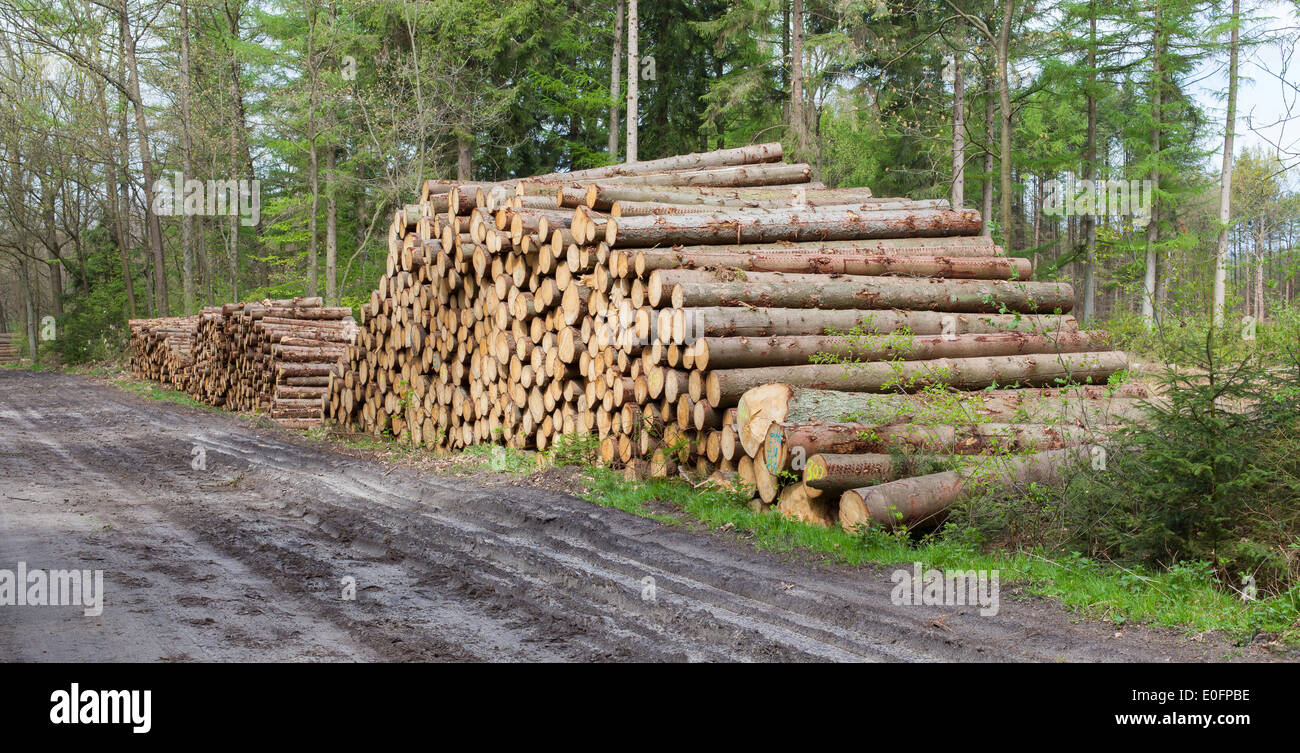Stacked timber in dutch hi-res stock photography and images - Alamy