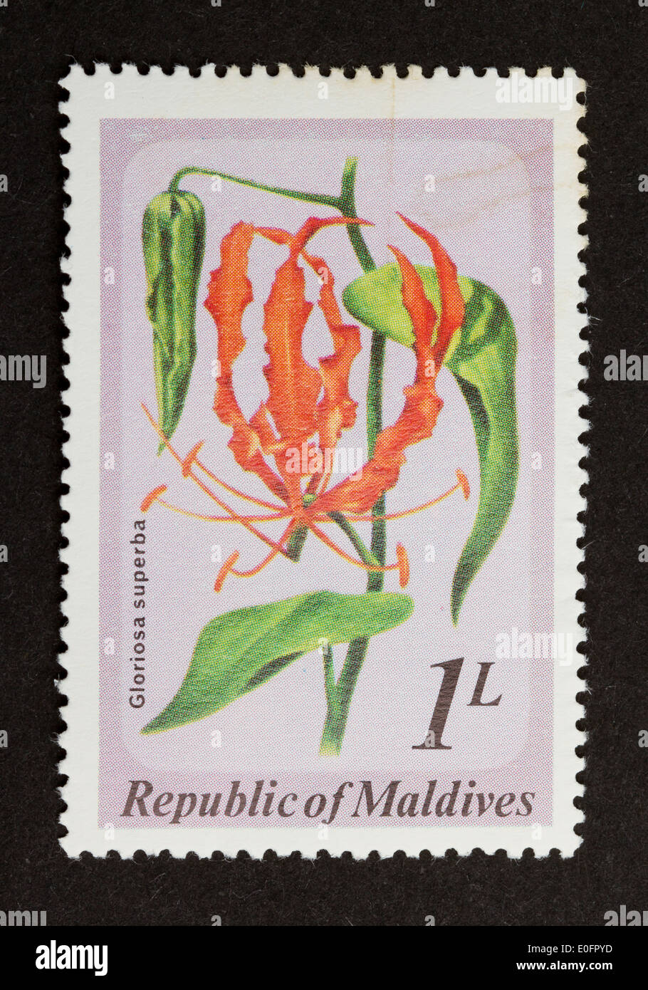 Maldives postage stamp hi-res stock photography and images - Alamy