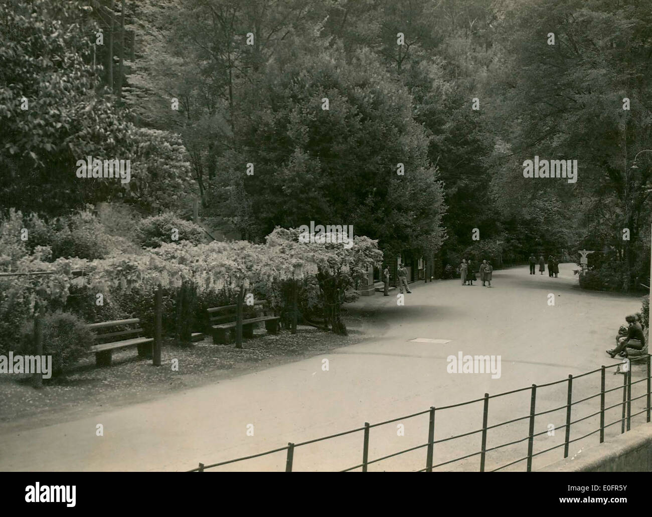 This image captures the scenic approach to Jenolan Caves House in New ...