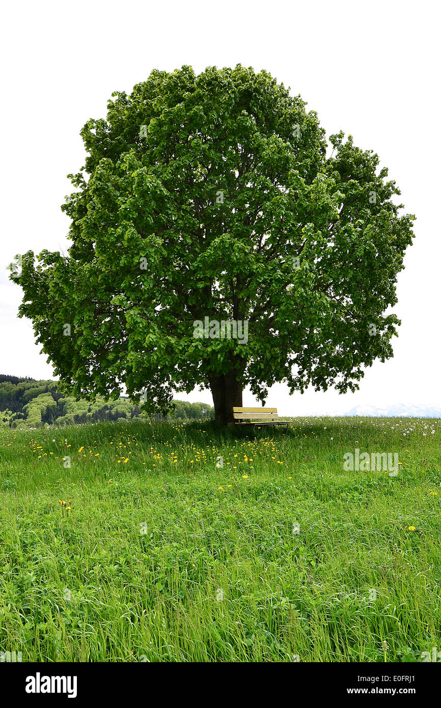 Richigen hi-res stock photography and images - Alamy