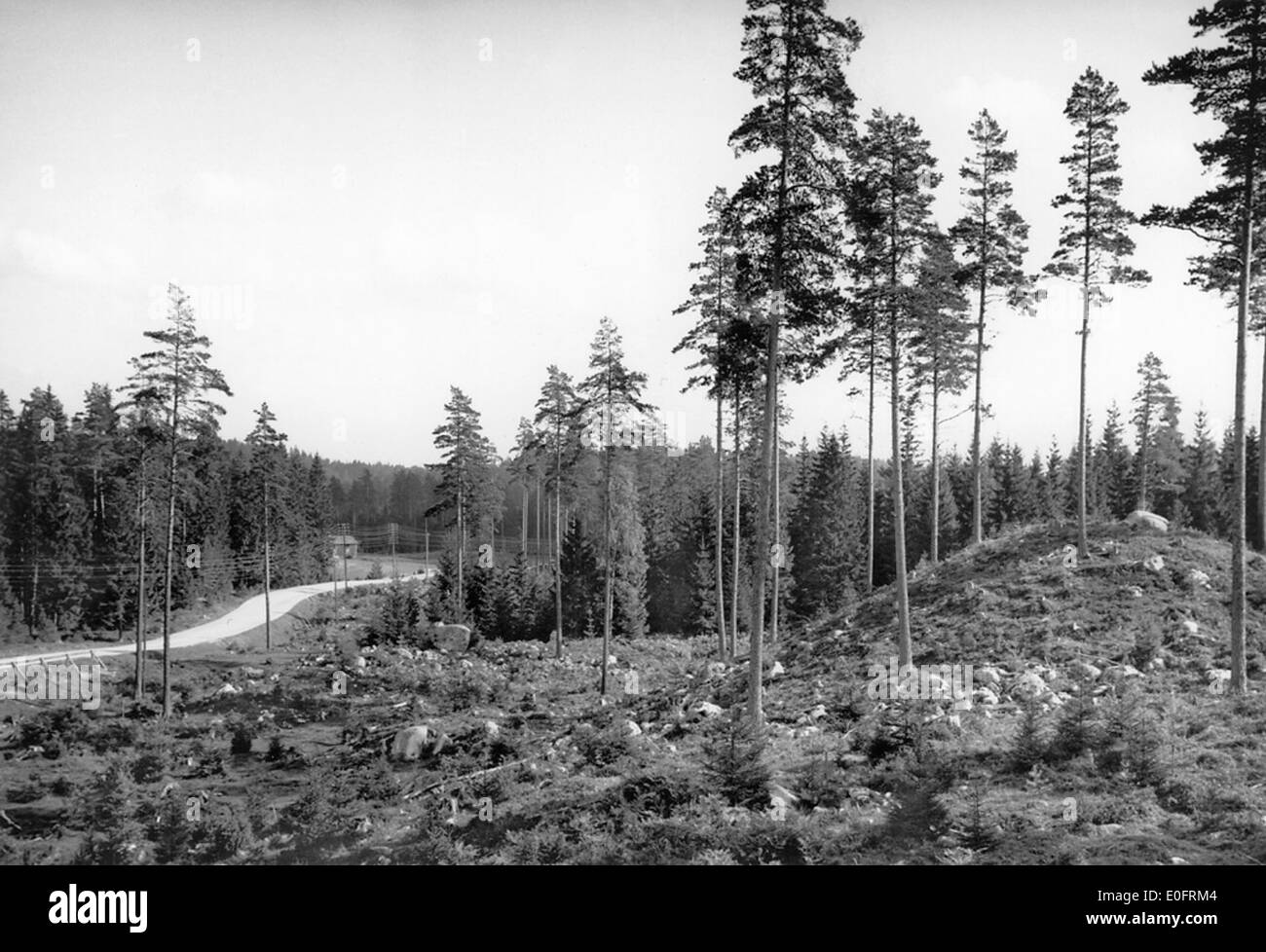 Sweden green Black and White Stock Photos & Images - Alamy