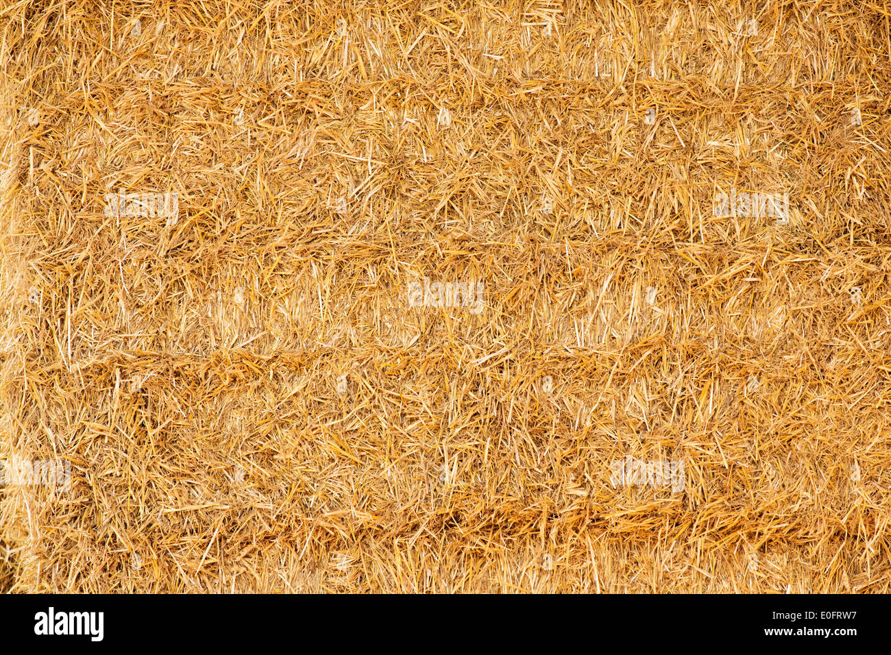 Rye Straw Stock Photos & Rye Straw Stock Images - Alamy