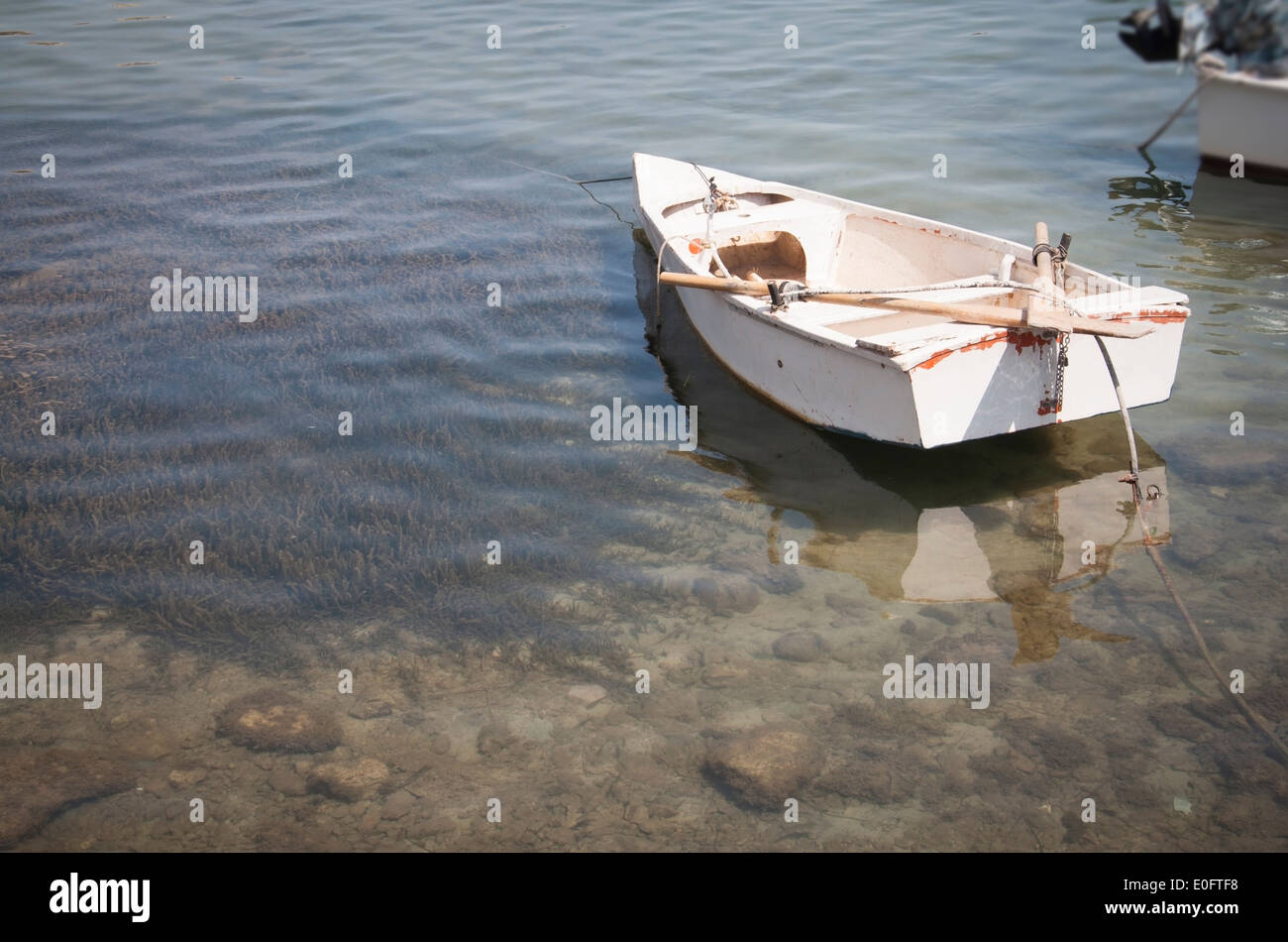 Old white row boat moored on peaceful shallow and transparent water ...