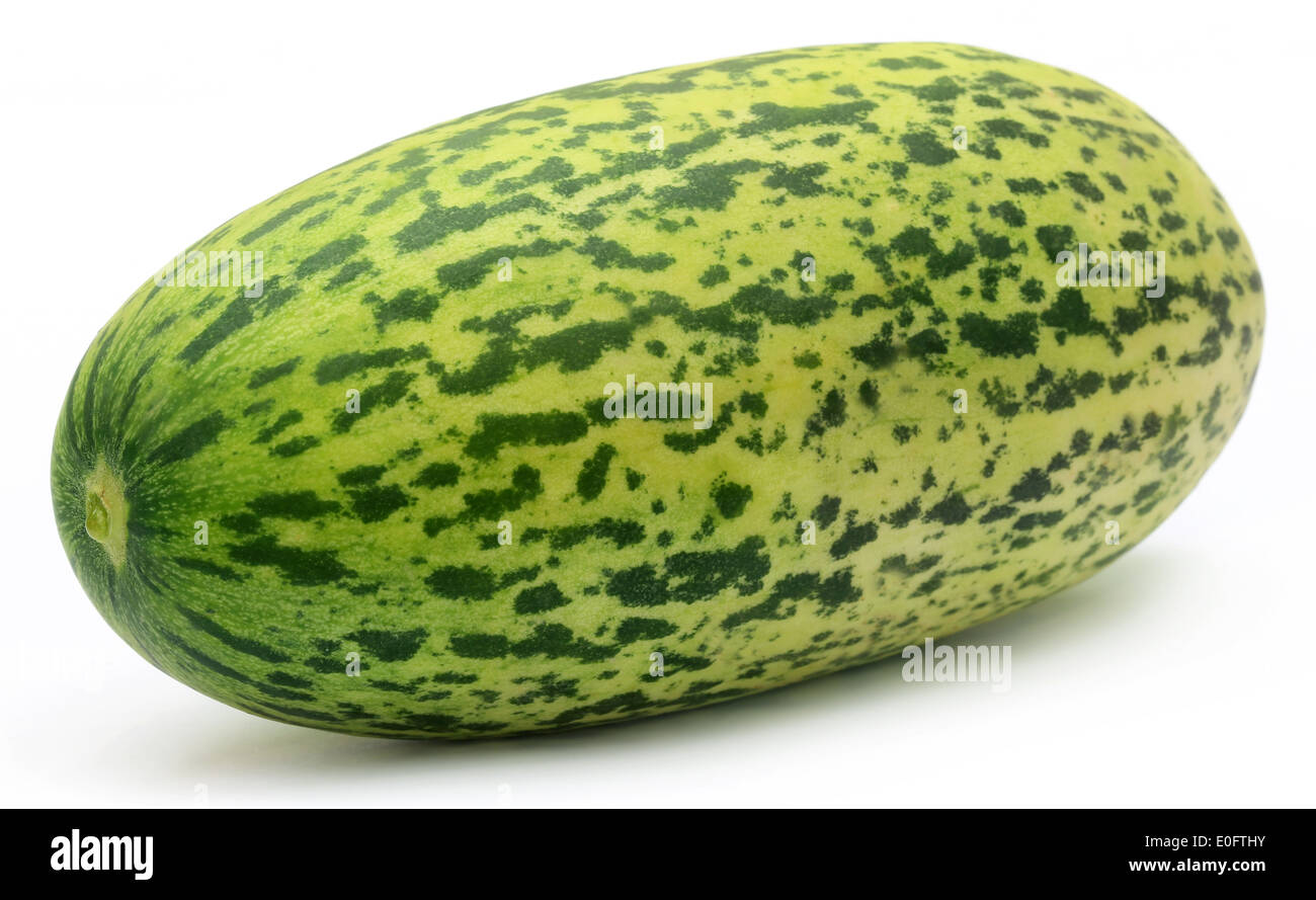 Fresh Muskmelon single over white background Stock Photo - Alamy