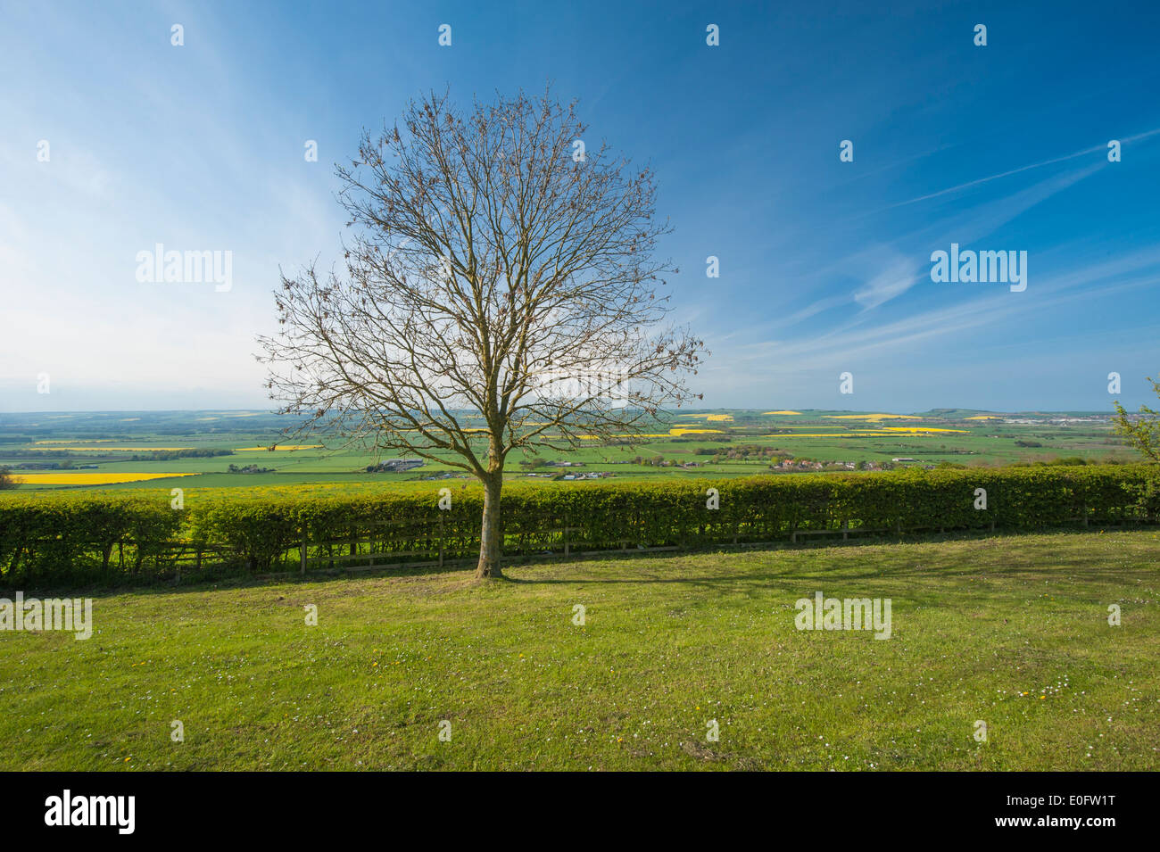 View over fields in the english countryside rural scene with tree Stock ...