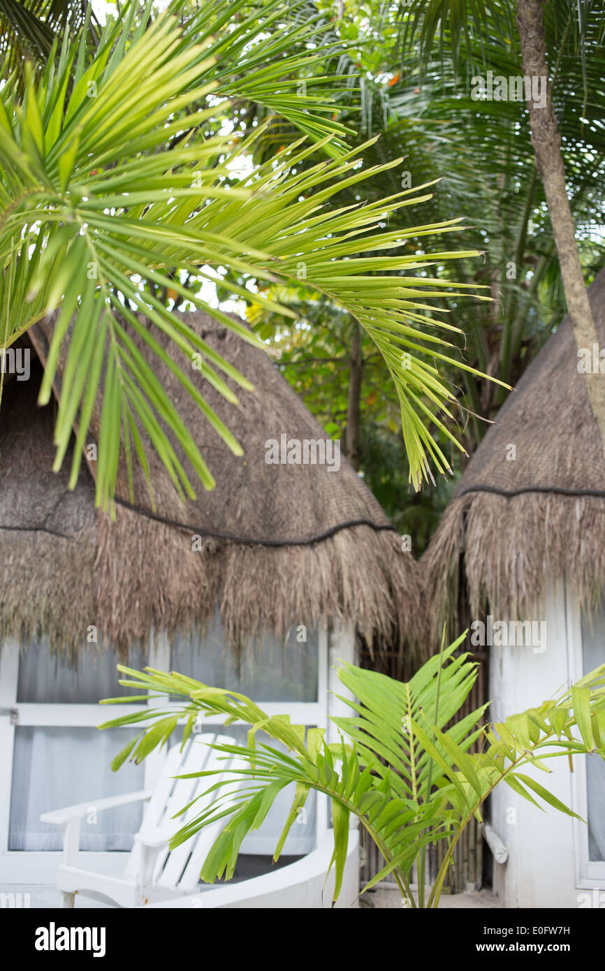 Two huts engulfed in palm trees in Tulum, Mexico Stock Photo - Alamy