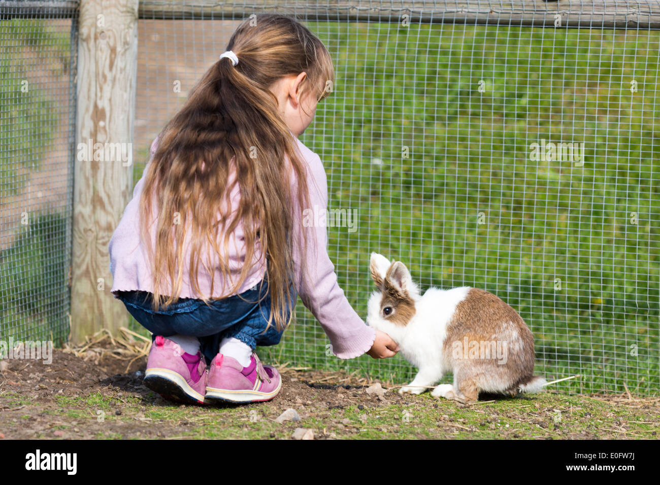 Child feeding rabbit hi-res stock photography and images - Alamy