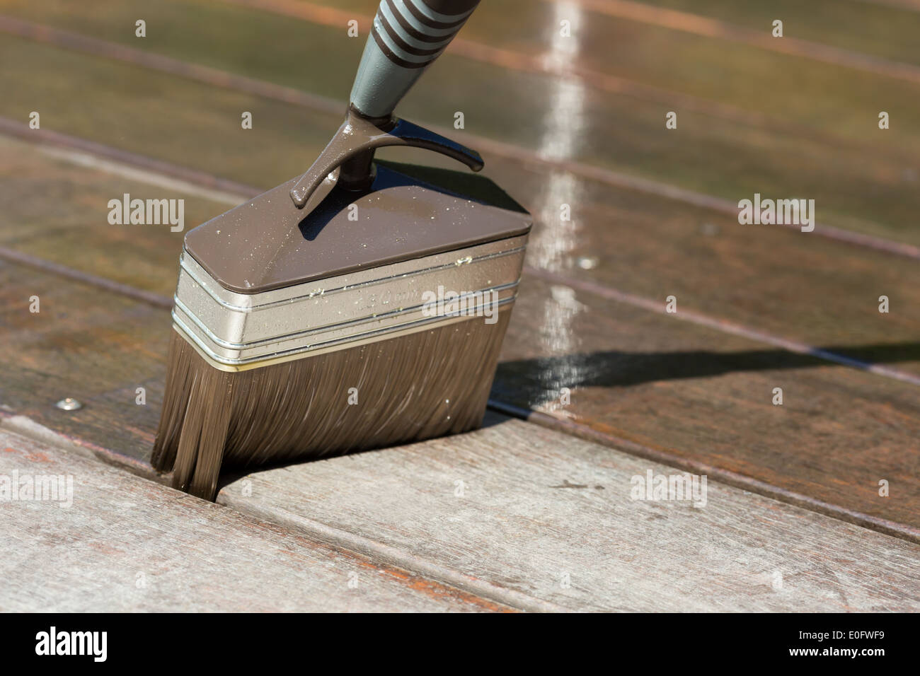 Close-up of brush with terrace oil during maintenance of teak terrace ...