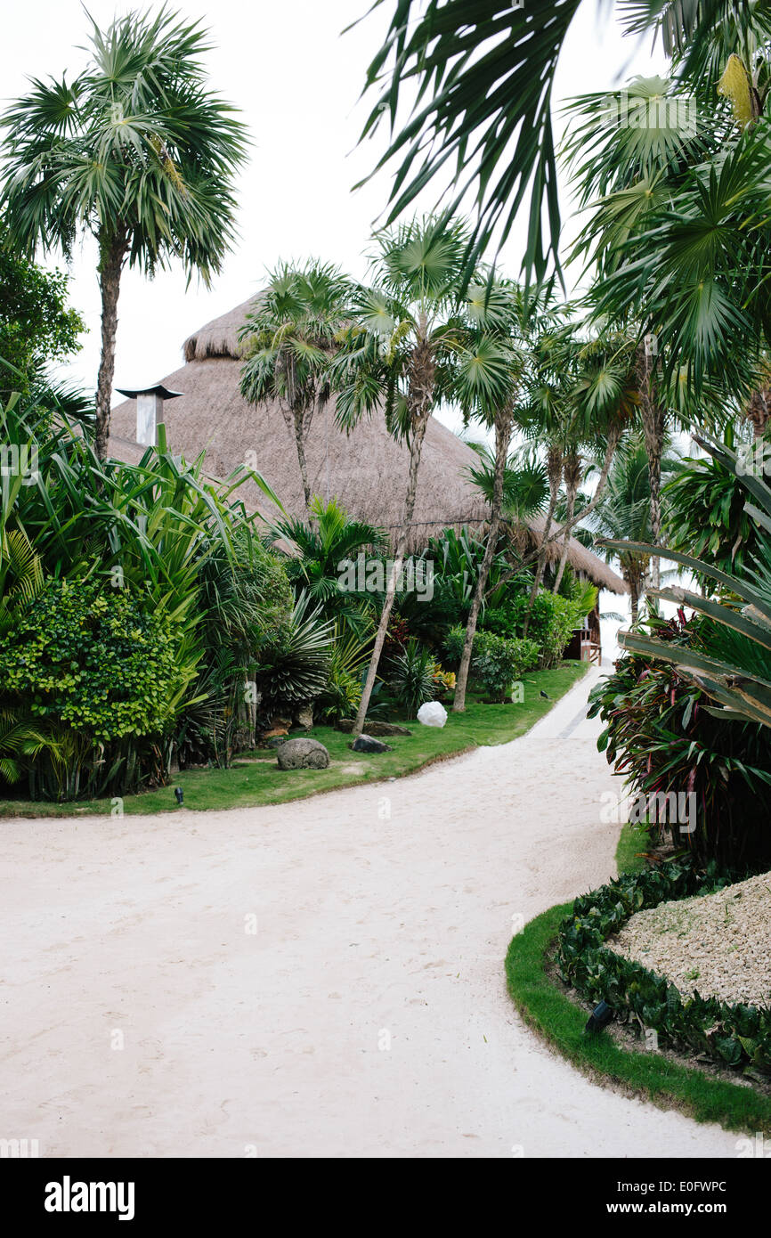 Driveway at resort lined with green plants and trees in Tulum, Mexico ...