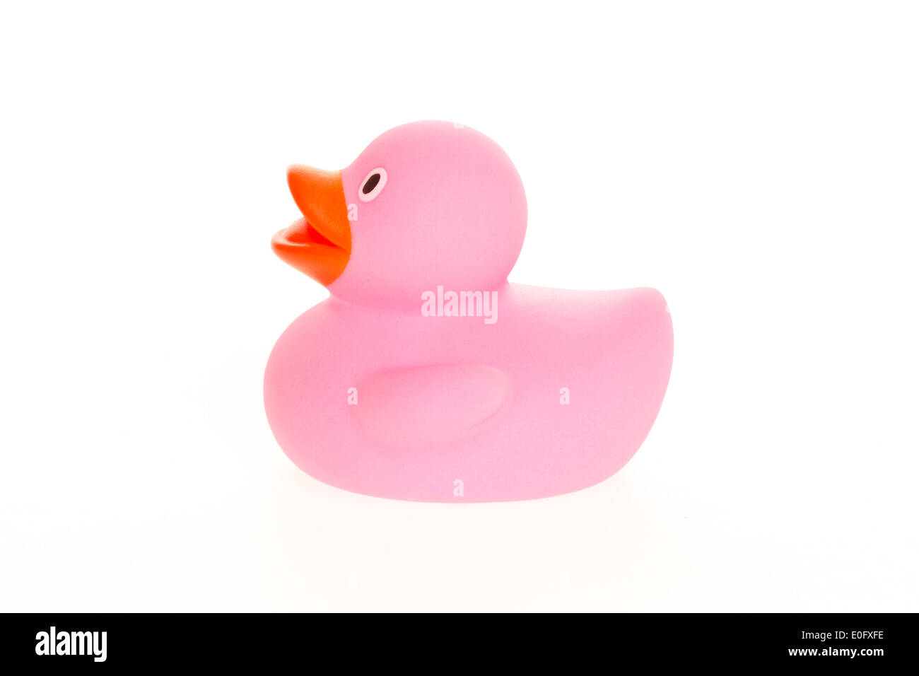 Pink duck isolated on a white background Stock Photo - Alamy
