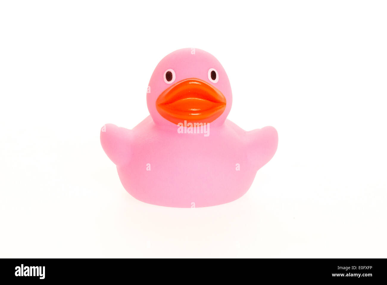 Pink duck isolated on a white background Stock Photo - Alamy