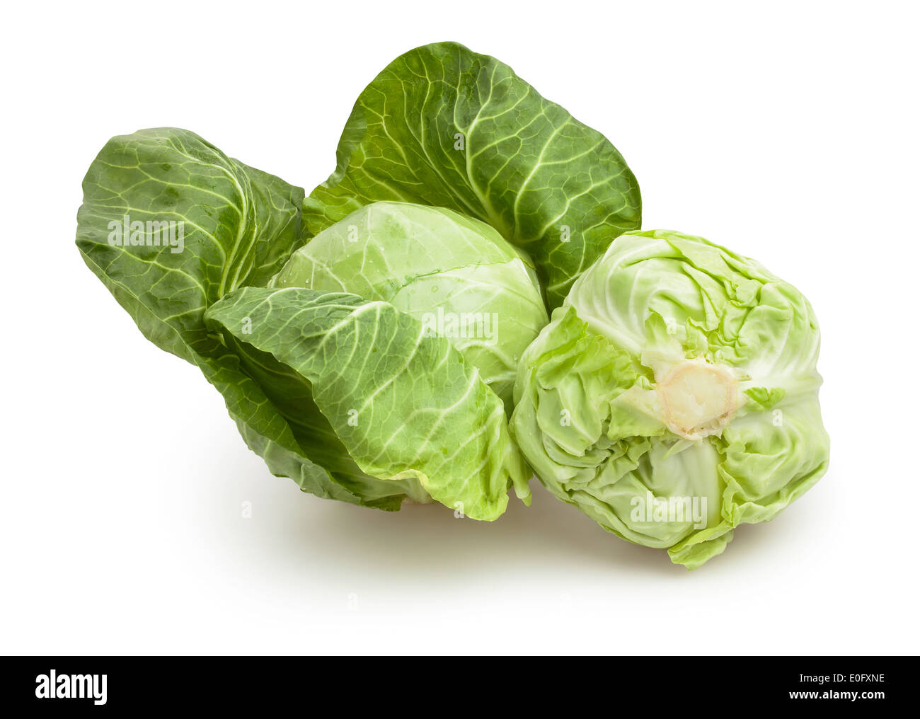 Isolated vegetation hi-res stock photography and images - Alamy